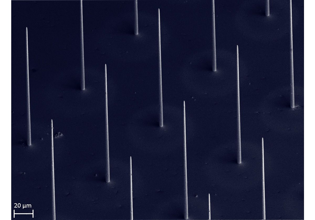3D Printed Metal Electrodes & Neural Interfaces | Exaddon AG
