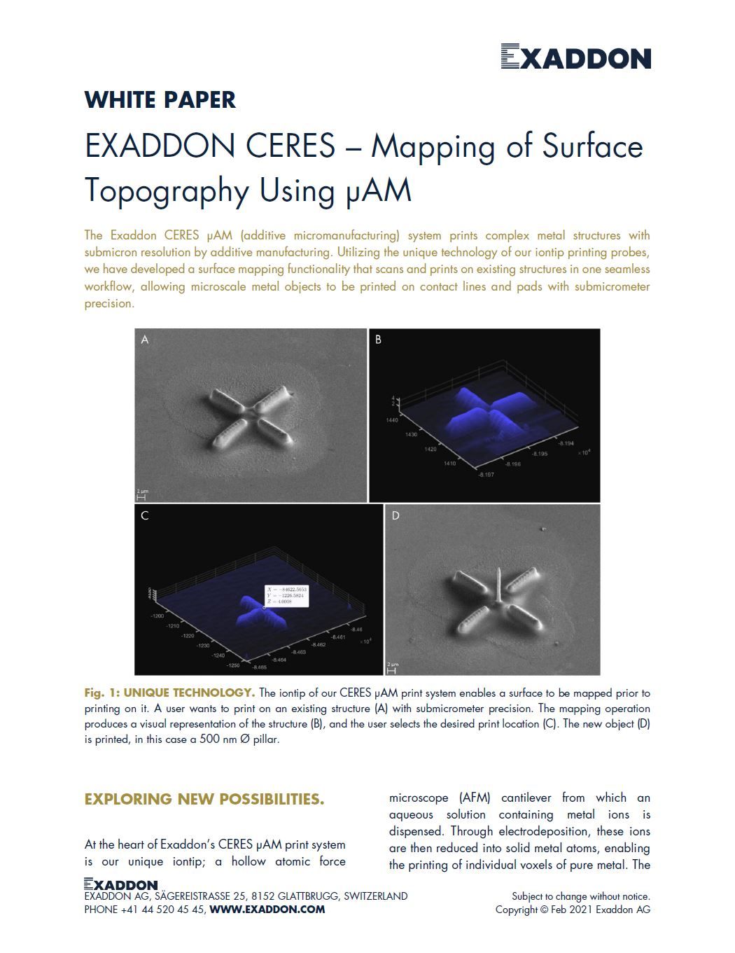 Publications and Research | Exaddon AG